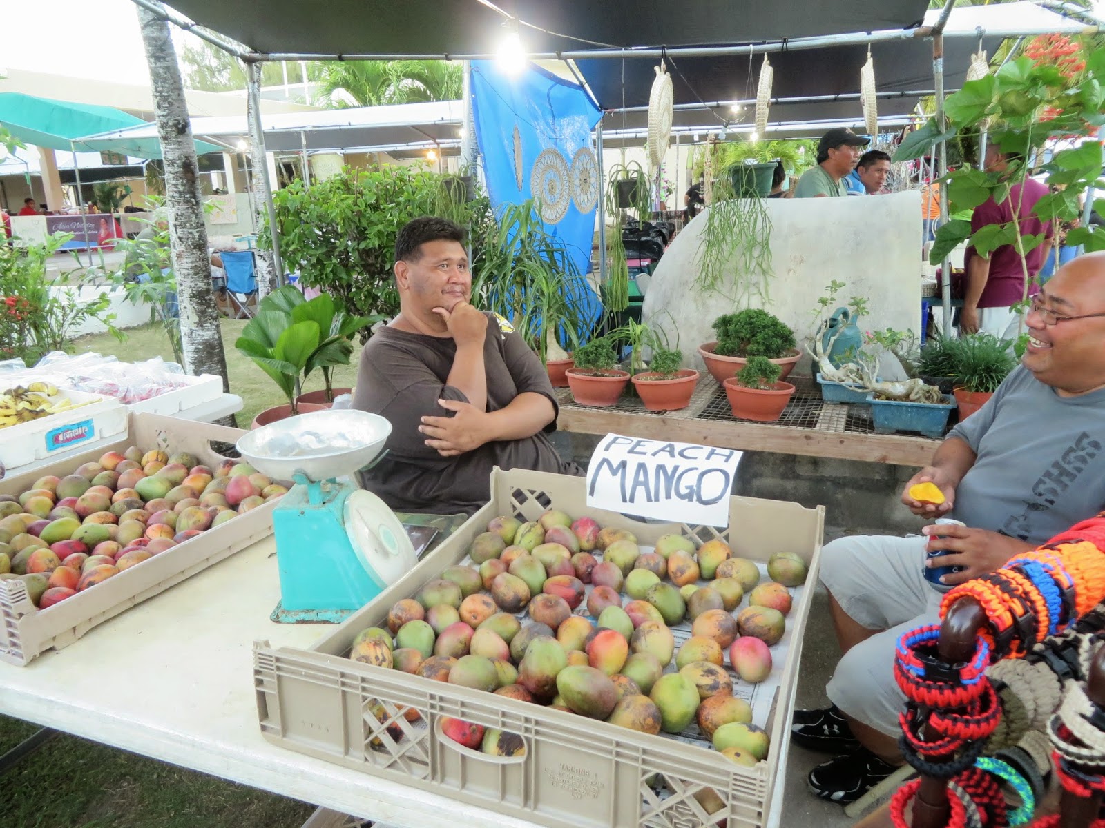 Hursts in Micronesia: Its Mango season in Guam